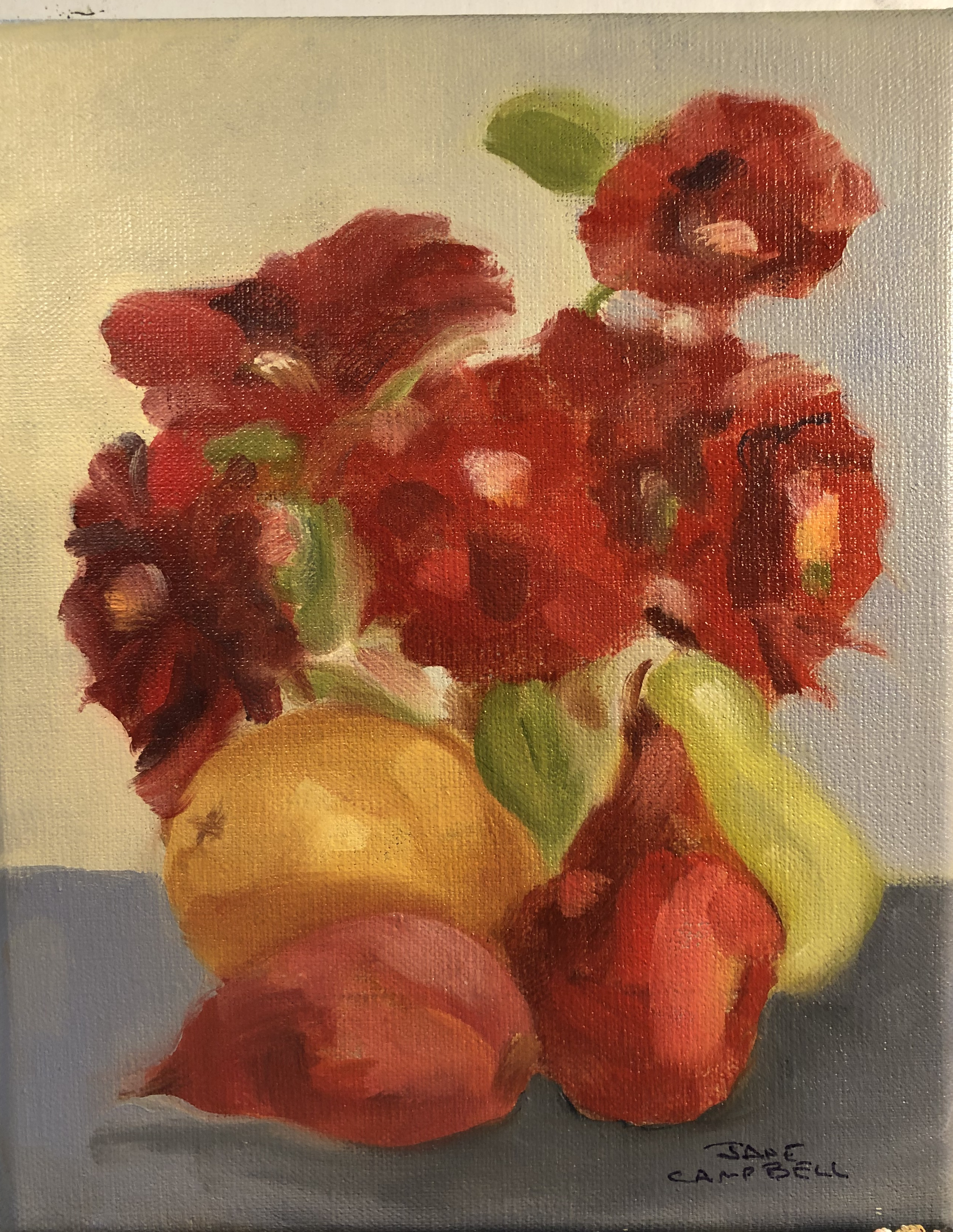 On Exhibition – Jane Campbell