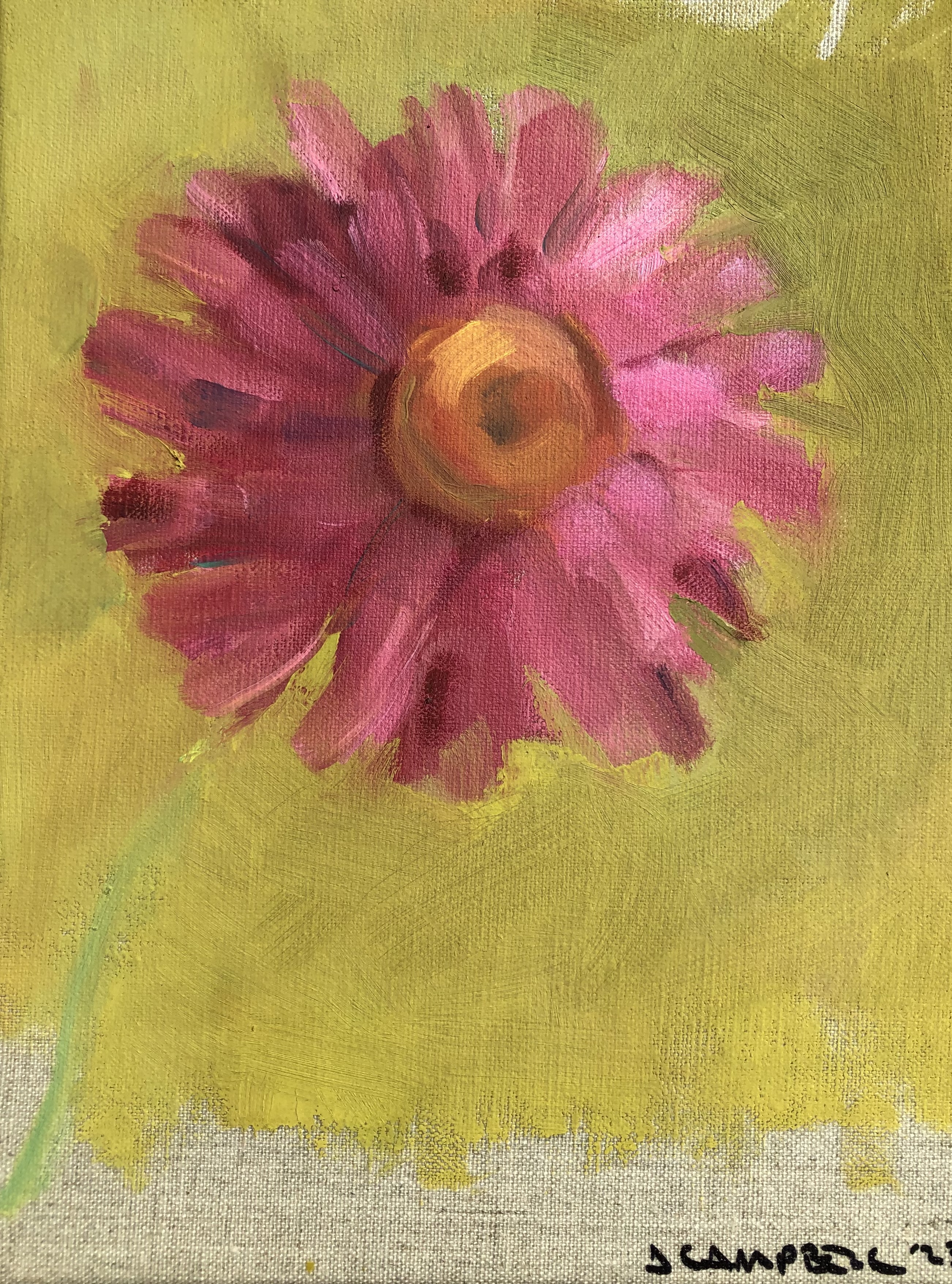 On Exhibition – Jane Campbell